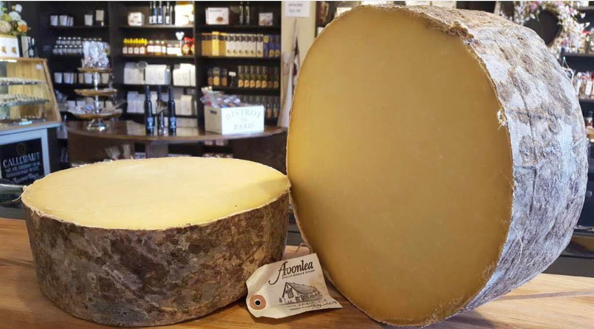 Cheddar Cheese-Staff Pick – J'adore Fine Cheese and Chocolate